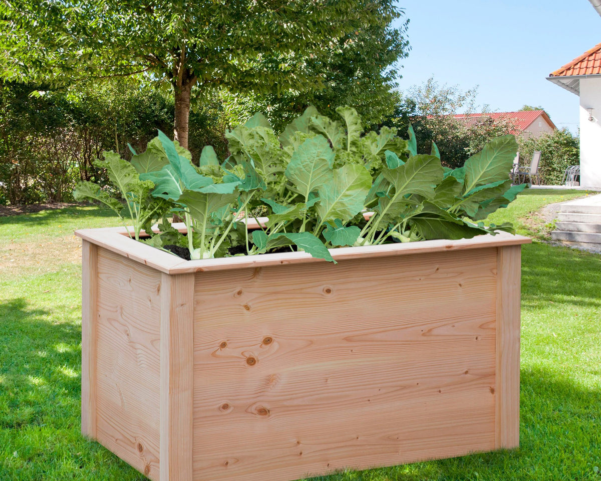 Pat înălțat pentru plante din lemn de pin Douglas 106x65 cm | LunaHome.ro